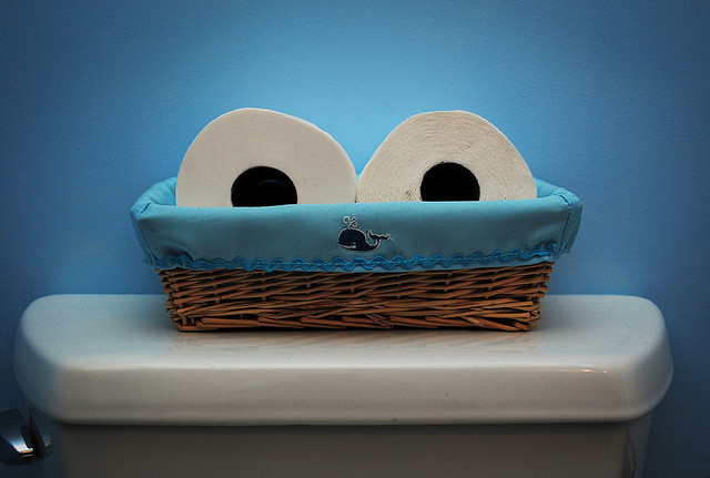 Toilet paper - Green Living Ideas